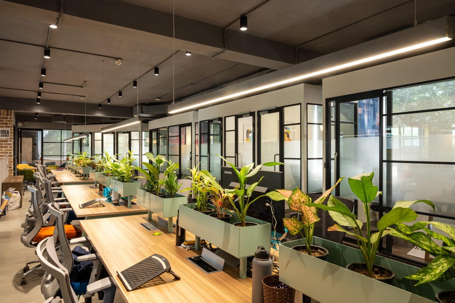 The importance of biophilic design in a modern workspace